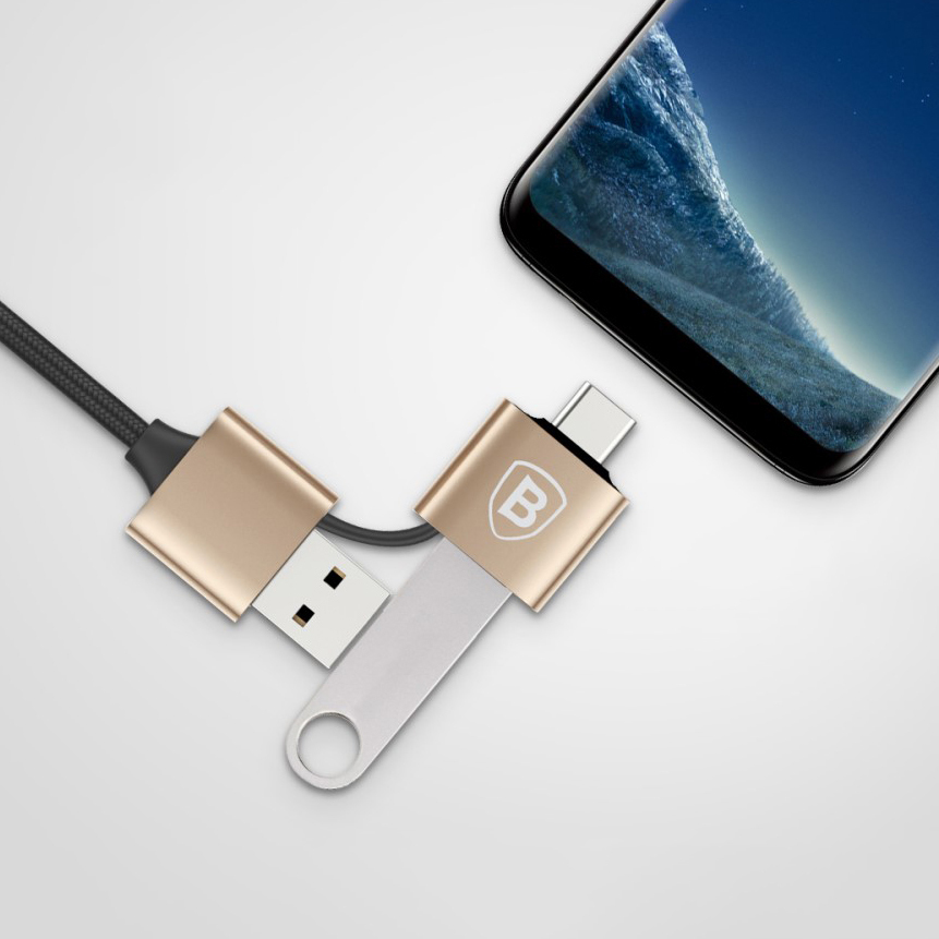 Baseus iPhone / iPad / Android / Micro USB Type-C Cable (Gold)